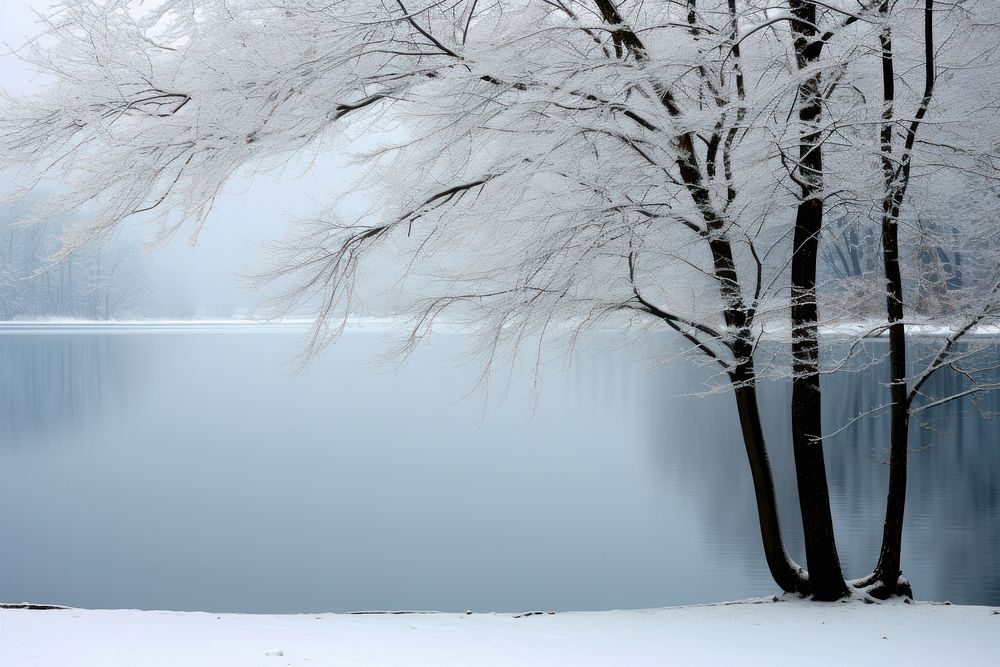 Winter wild empty scene landscape | Free Photo - rawpixel