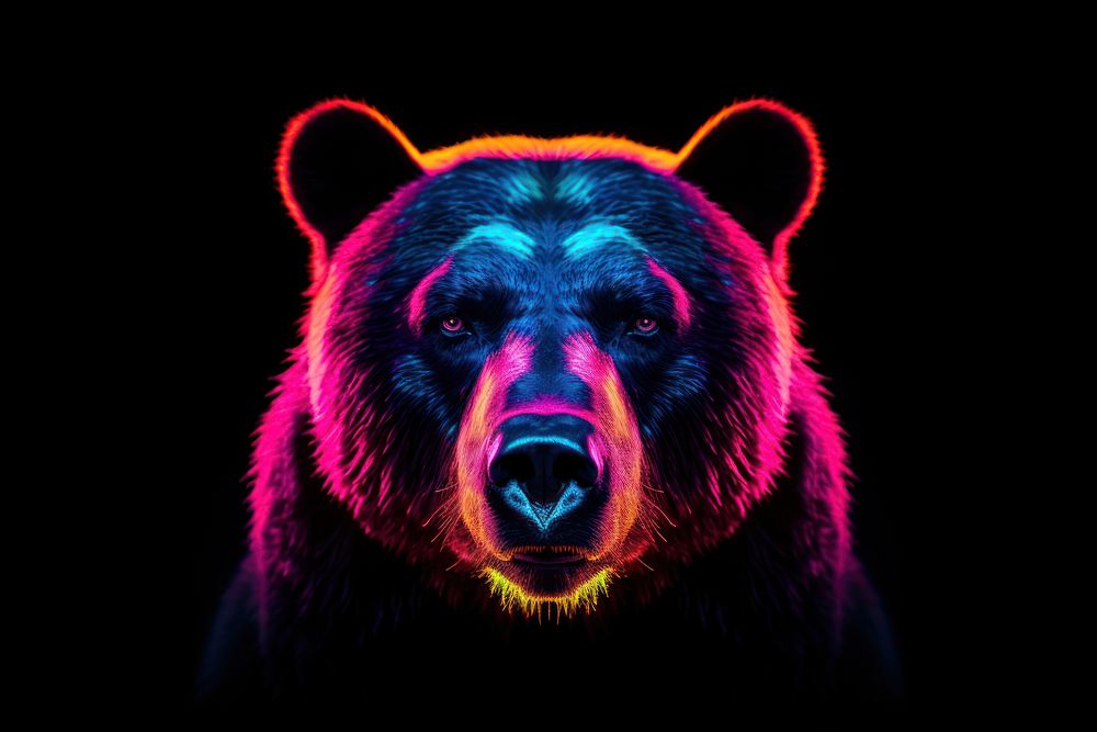 Photography bear radiant silhouette wildlife | Free Photo - rawpixel