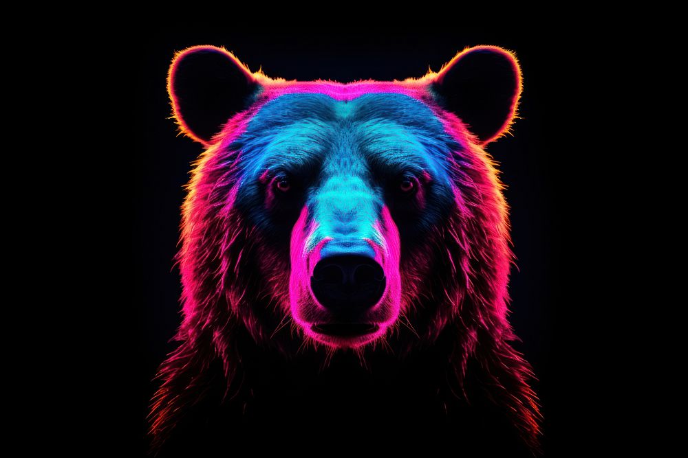 Photography bear radiant silhouette wildlife | Free Photo - rawpixel