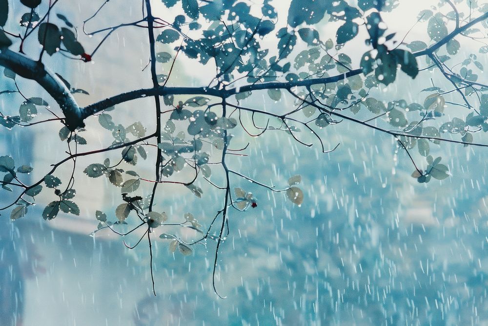 Fresh raining background backgrounds outdoors | Free Photo - rawpixel