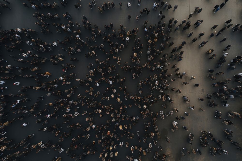Aerial top view crowd architecture | Free Photo - rawpixel