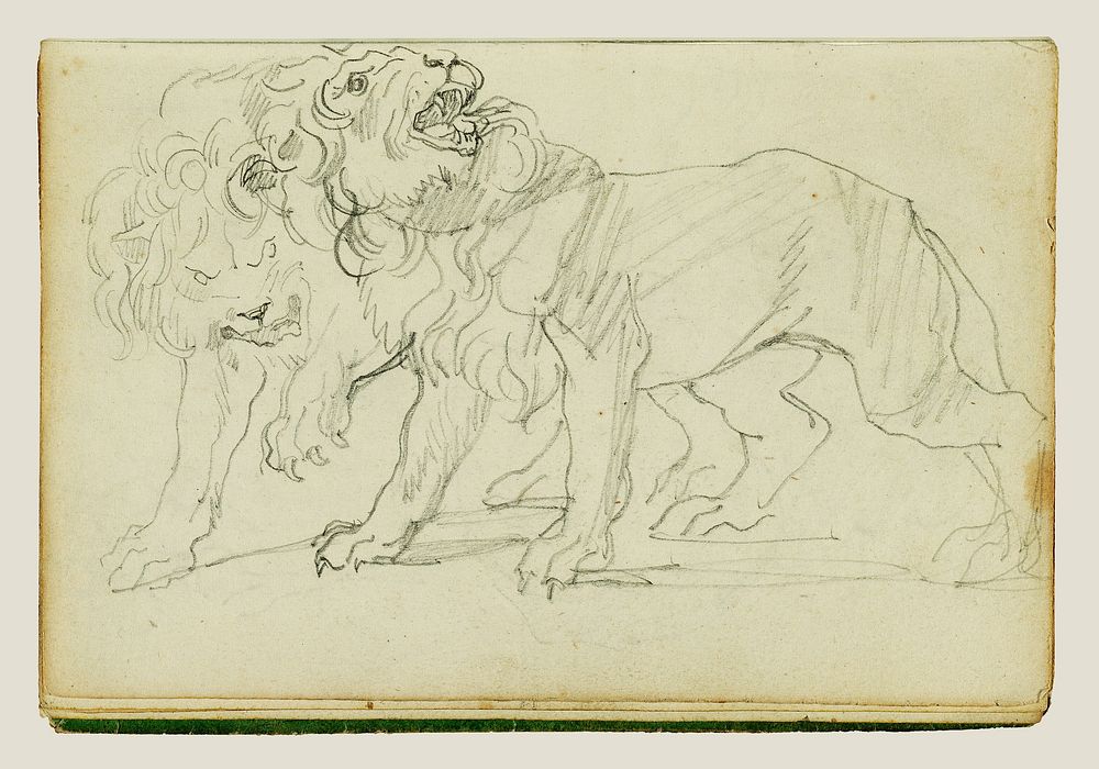 Pair lions Théodore Géricault | Free Photo Illustration - rawpixel