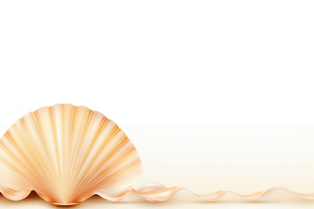Shell backgrounds invertebrate copy space. | Free Photo Illustration ...