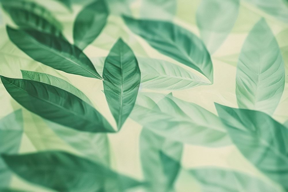 Green pattern leaf green backgrounds | Premium Photo Illustration - rawpixel