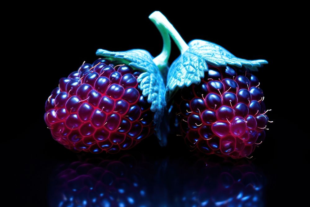 Neon berry raspberry fruit plant. | Premium Photo Illustration - rawpixel