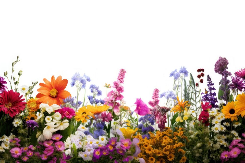 Flower garden flower nature backgrounds | Premium Photo - rawpixel