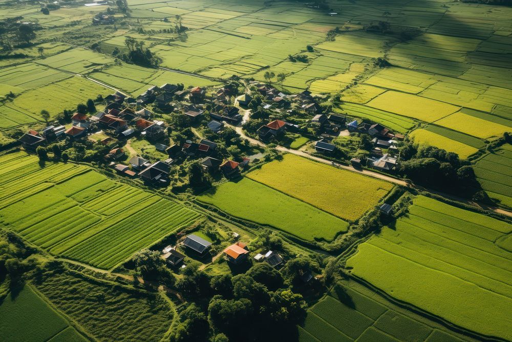 Rural area architecture outdoors building. | Premium Photo - rawpixel