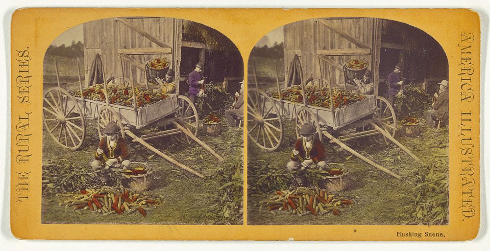 Husking Scene. | Free Photo - rawpixel