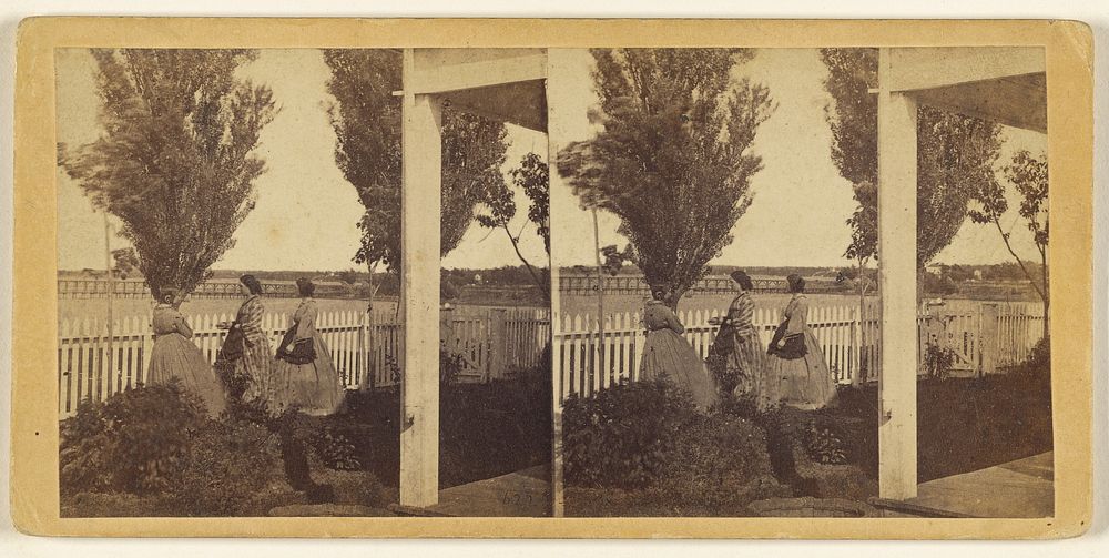 Three Fair Daughters Jersey. Edward | Free Photo - rawpixel