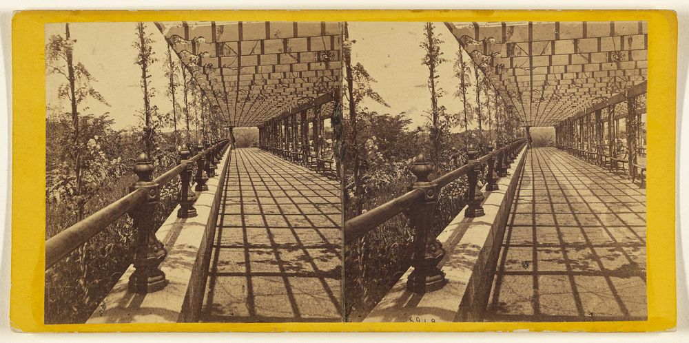 Central Park. Vine Clad Arbor. | Free Photo - rawpixel