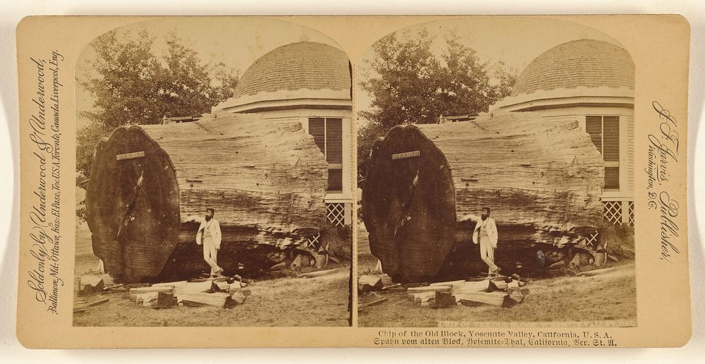 Chip Old Block. Yosemite Valley, | Free Photo - rawpixel