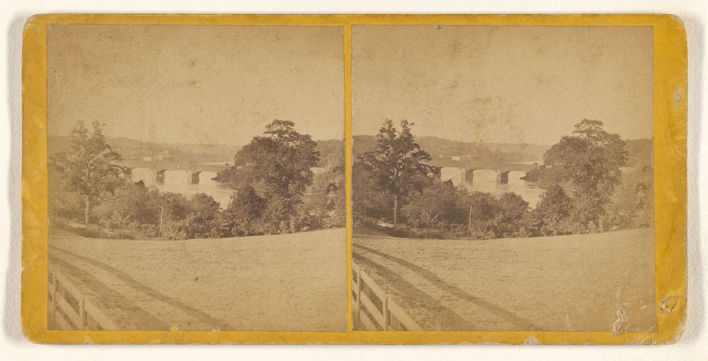 View Swett Brier, Phila. Park | Free Photo - rawpixel