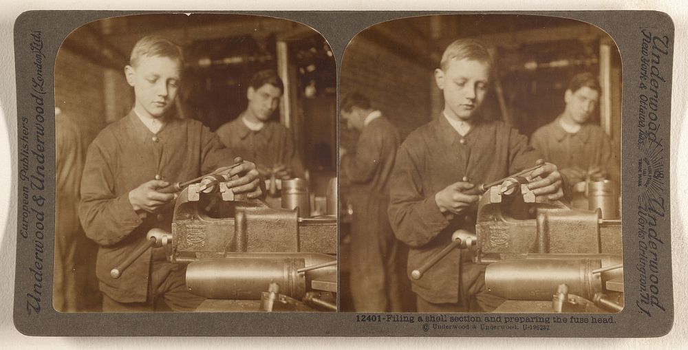 Filing shell section and preparing | Free Photo - rawpixel