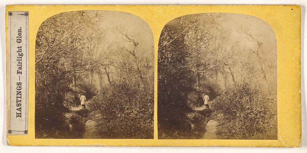 Hastings - Fairlight Glen. | Free Photo - rawpixel Hastings - Fairlight Glen. | Free Photo - rawpixel