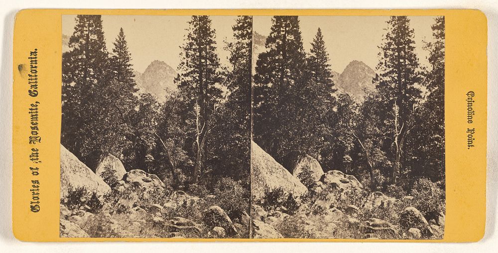 Crinoline Point. [Mammoth Trees, California.] | Free Photo - rawpixel
