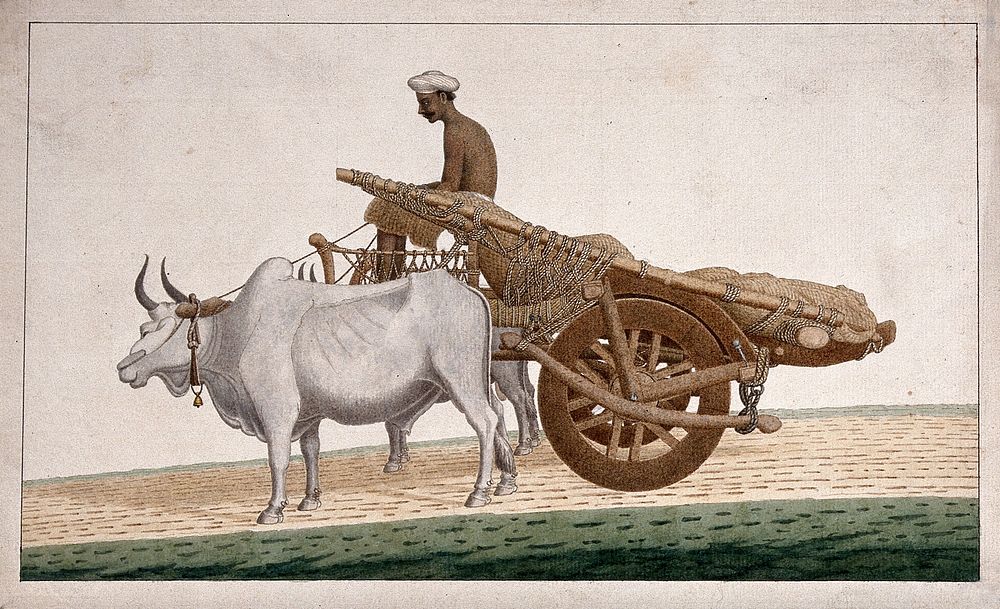 man driving cart drawn bullocks. | Free Photo Illustration - rawpixel