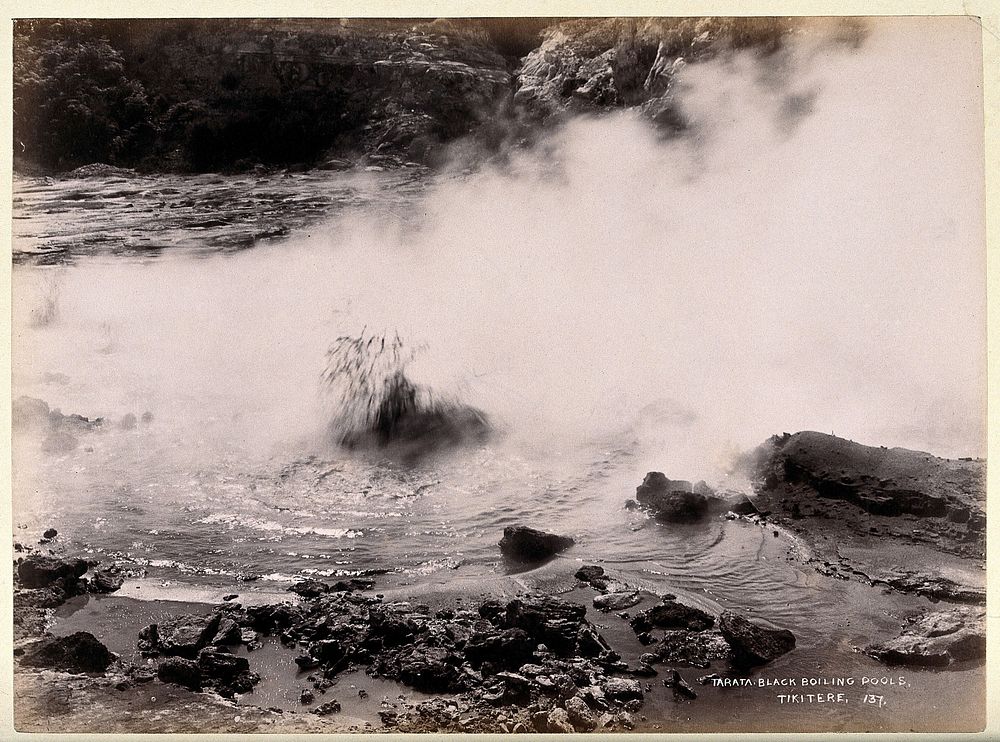 Tikitere, New Zealand: boiling mud | Free Photo - rawpixel Tikitere, New Zealand: boiling mud | Free Photo - rawpixel