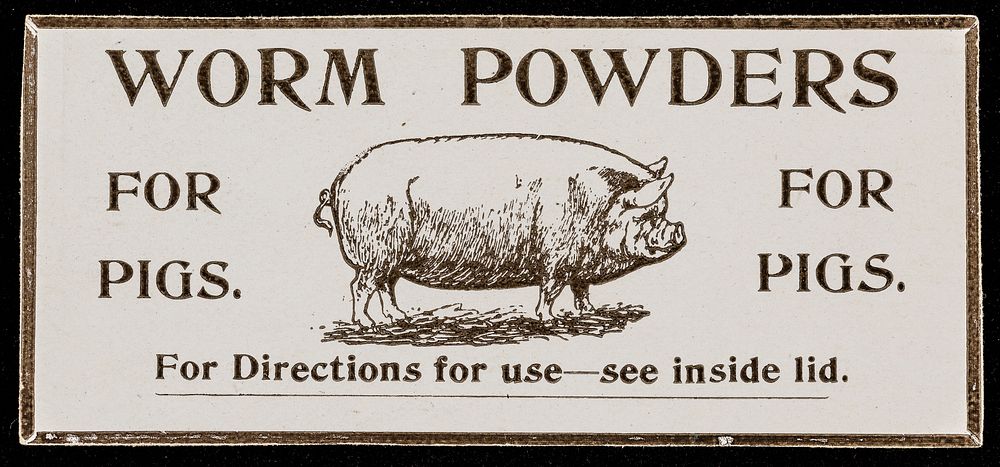 Worm powders : pigs : | Free Photo Illustration - rawpixel