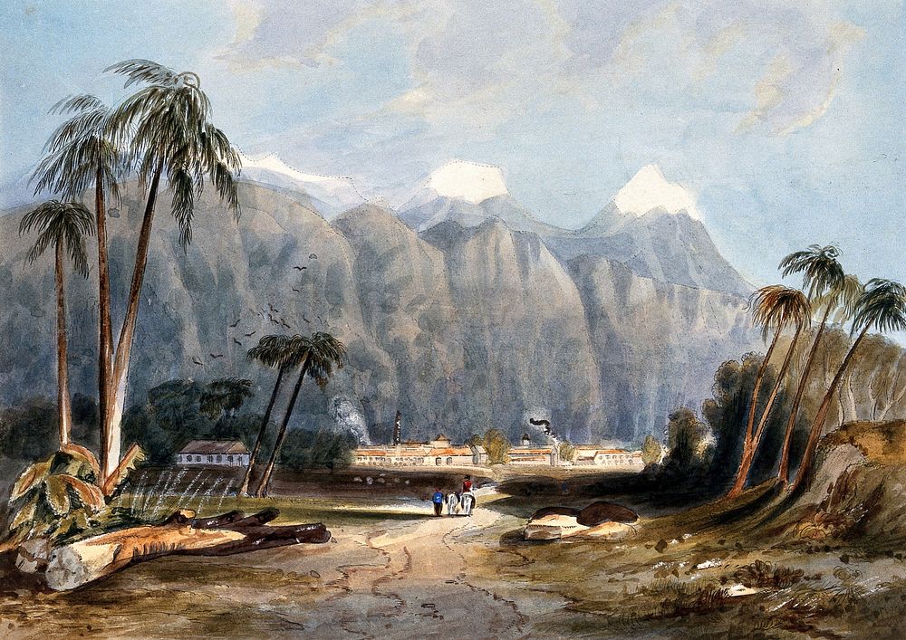 Mérida city, Colombia. Coloured etching | Free Photo Illustration ...