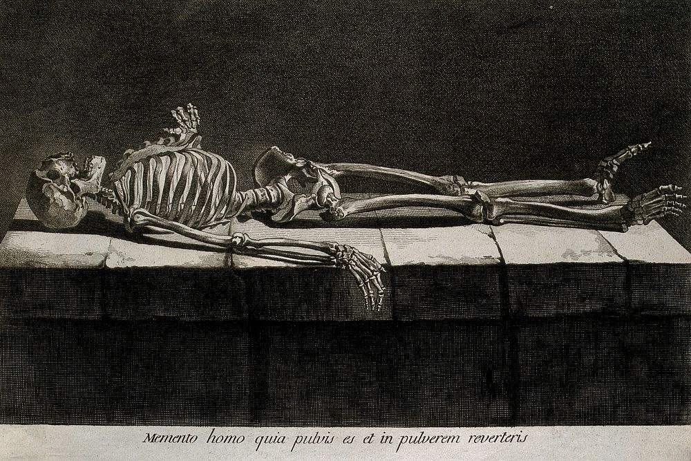 skeleton, lying supine stone slab. | Free Photo Illustration - rawpixel