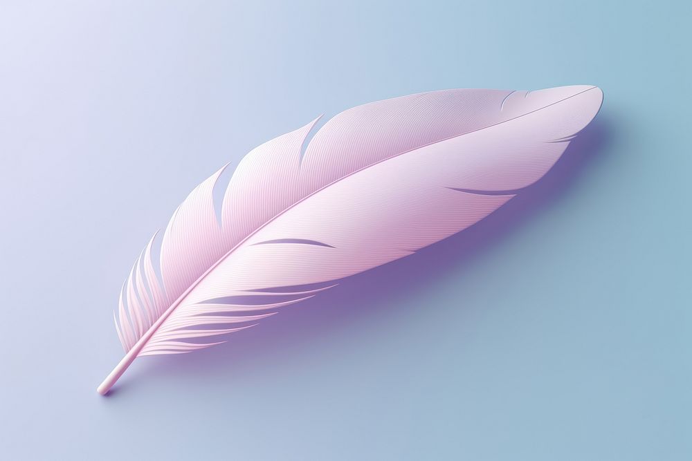 Feather feather lightweight accessories. | Free Photo Illustration ...