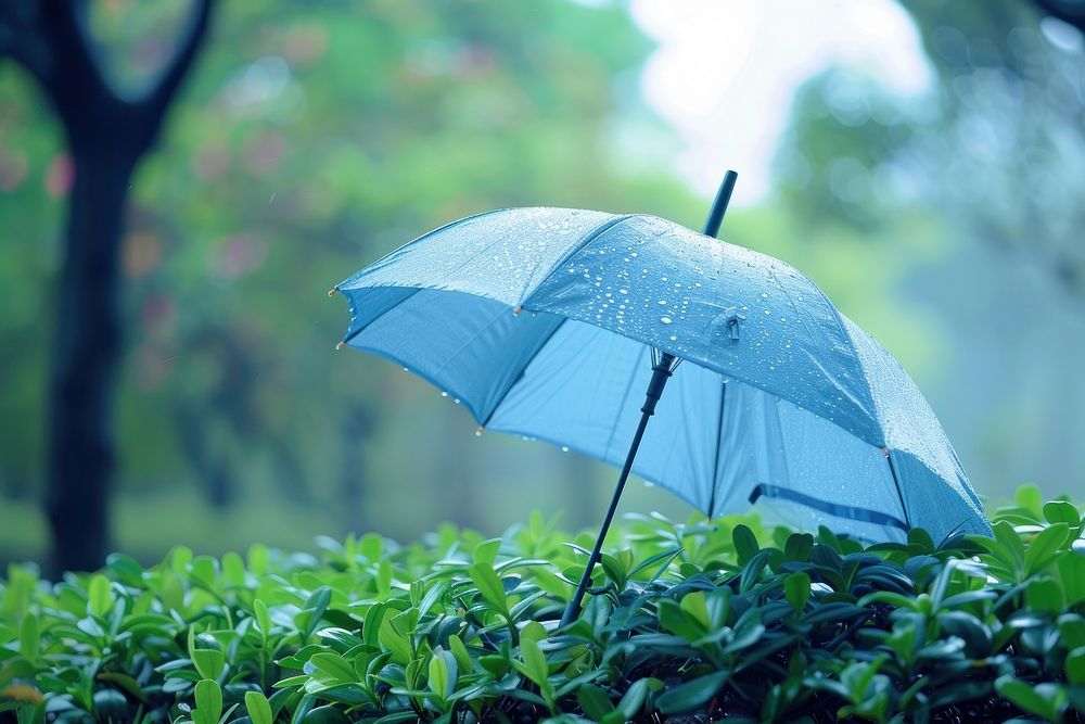 Cute umbrella wallpaper human rain | Premium Photo - rawpixel