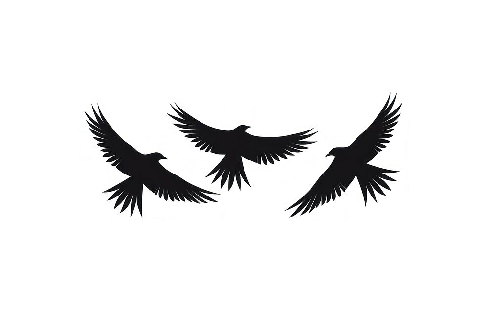 3 birds flying drawing animal | Premium Photo Illustration - rawpixel