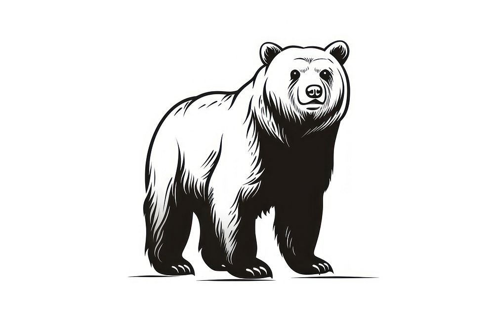 Vintage cartoon style bear wildlife | Free Photo Illustration - rawpixel