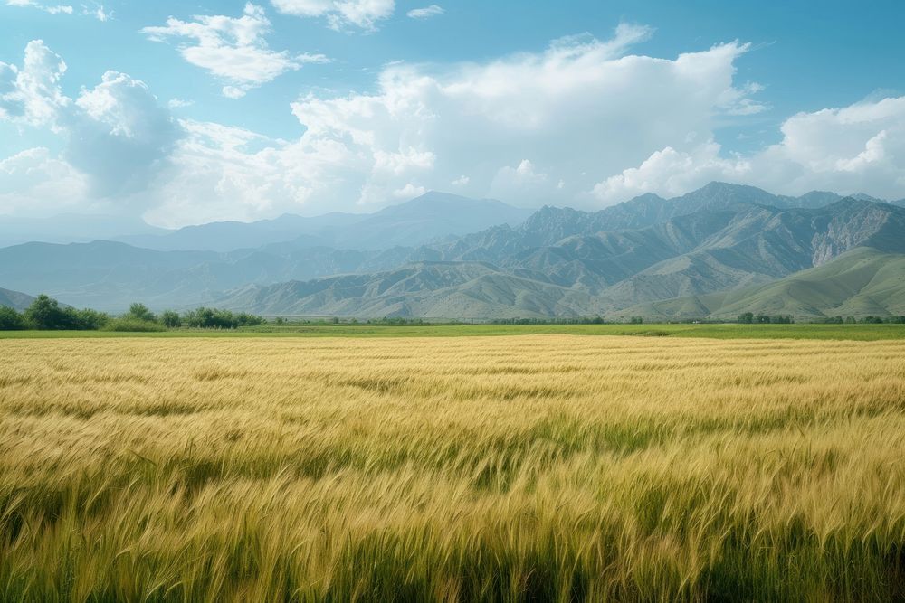 Field mountains landscape outdoors horizon. | Premium Photo - rawpixel