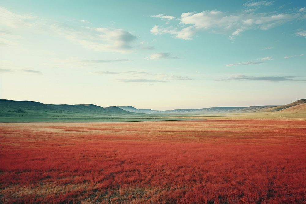 Minimal-large grassland landscape outdoors horizon. | Free Photo - rawpixel