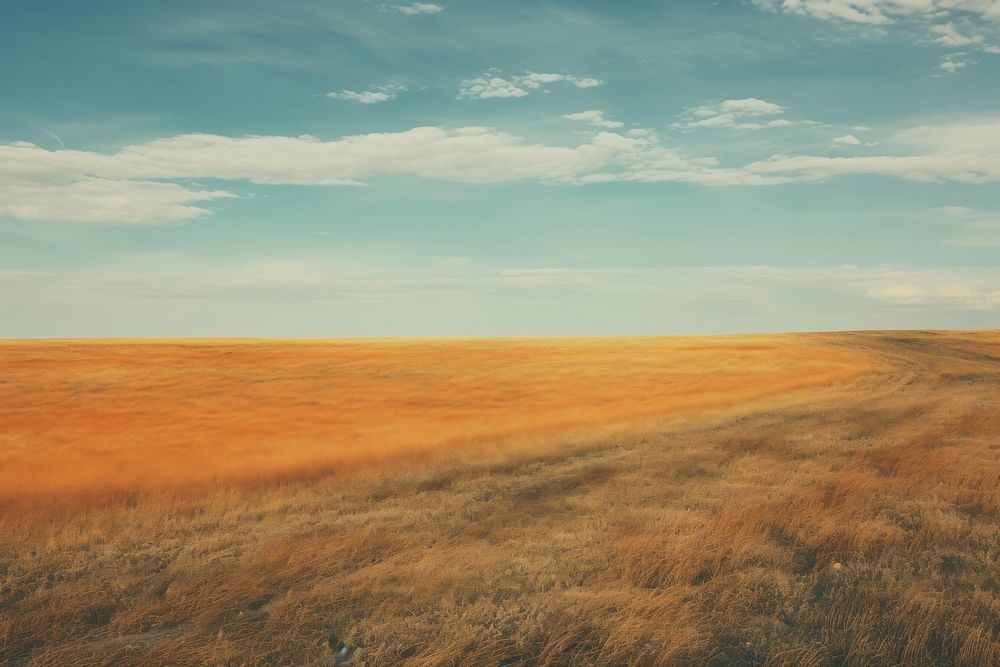 minimal-large grassland landscape outdoors horizon. | Free Photo - rawpixel