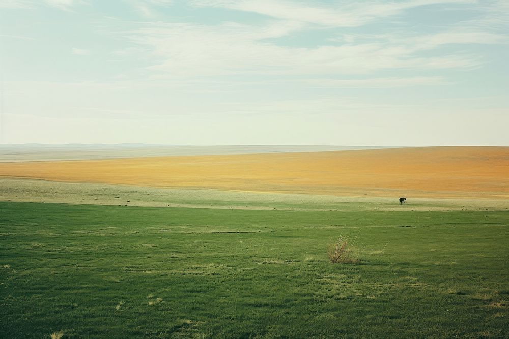 Minimal-large grassland landscape outdoors horizon. | Premium Photo ...