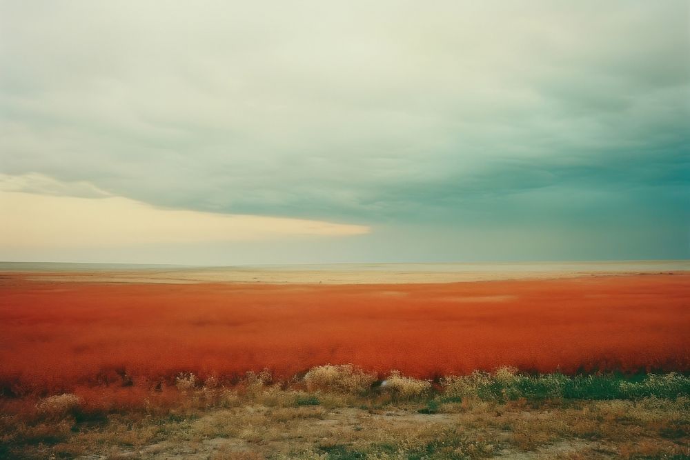 Minimal-large grassland landscape outdoors horizon. | Free Photo - rawpixel