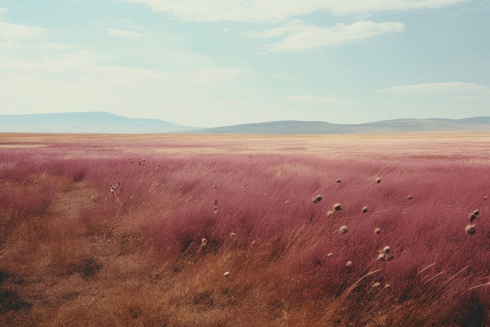 Minimal-large grassland landscape tranquility agriculture. | Premium ...