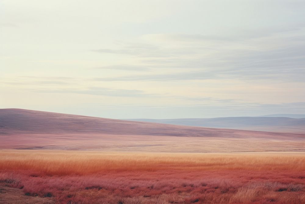 Minimal-large grassland landscape outdoors horizon. | Premium Photo ...