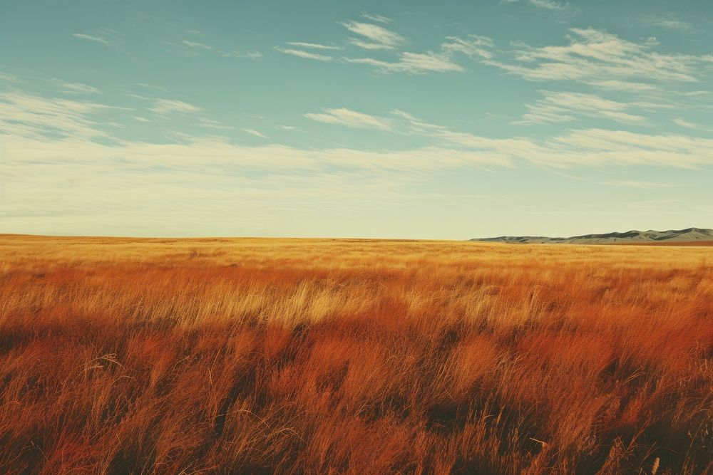 Minimal-large grassland landscape outdoors horizon. | Free Photo - rawpixel