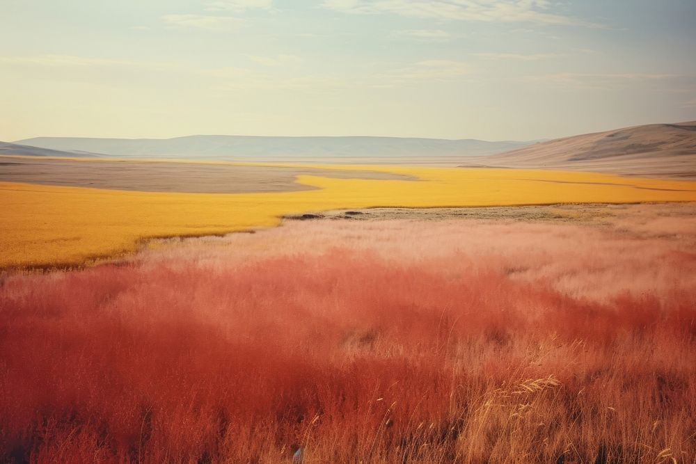 minimal-large grassland landscape outdoors nature. | Free Photo - rawpixel