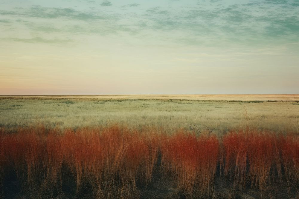 Minimal-large grassland landscape outdoors horizon. | Free Photo - rawpixel