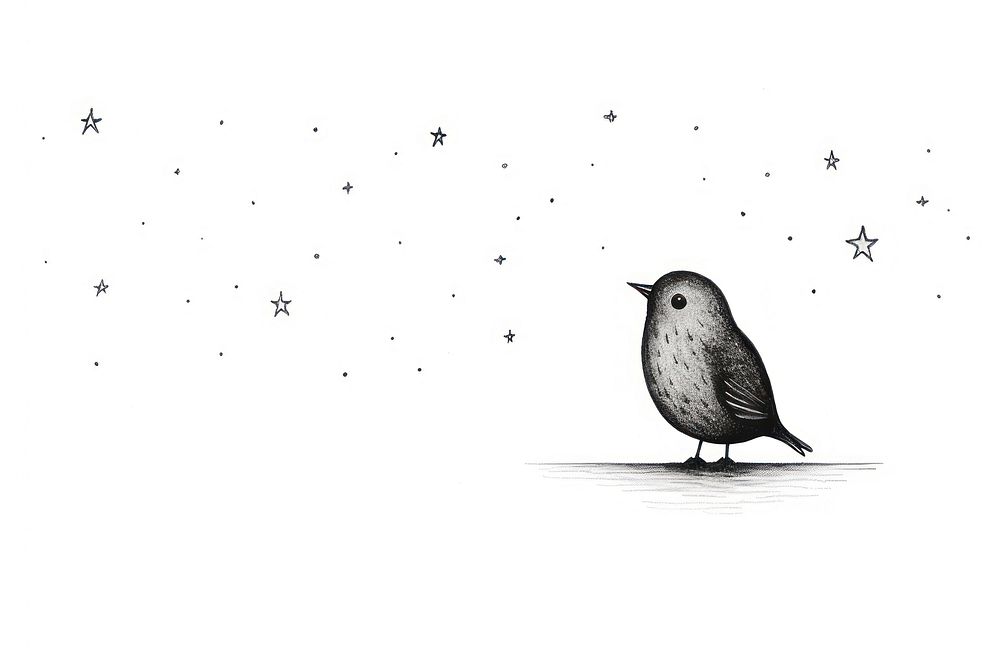 Little bird drawing animal sketch. | Premium Photo Illustration - rawpixel