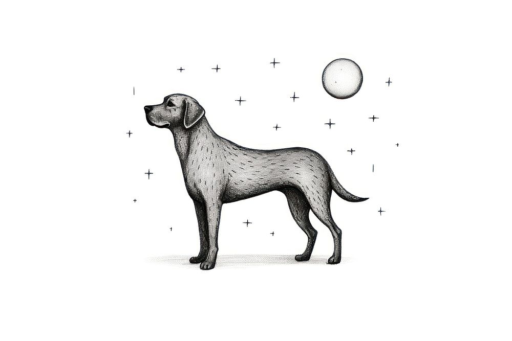 Labrador pointer drawing animal | Free Photo Illustration - rawpixel