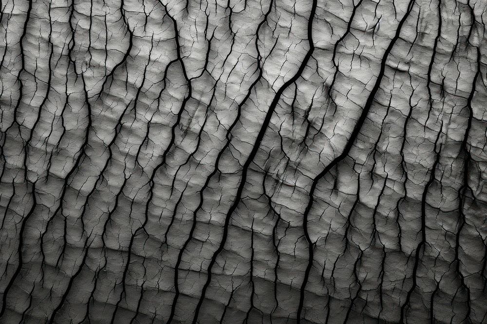 Scratch pattern texture wood tree. | Free Photo - rawpixel