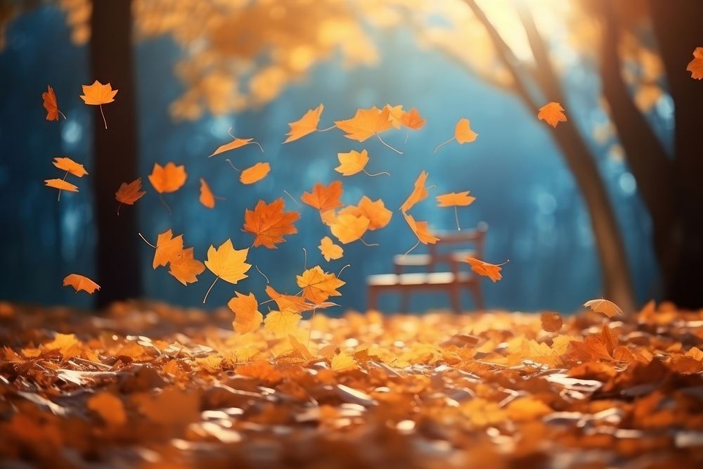 Autumn backdrop sunlight leaves plant. | Free Photo - rawpixel