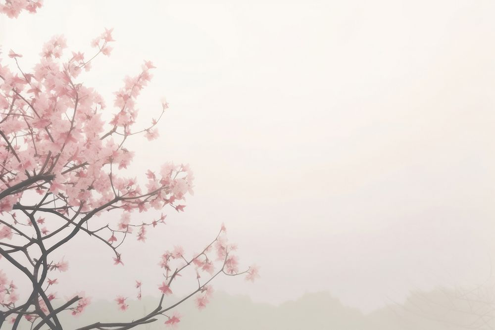 Cherry blossom landscape backgrounds outdoors | Premium Photo - rawpixel