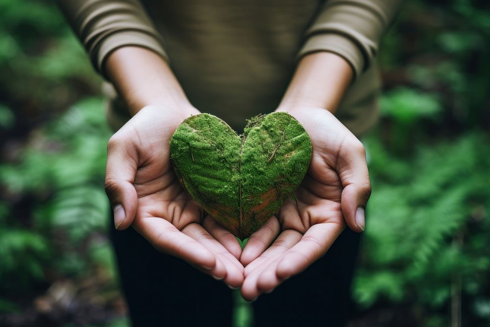 Outdoors holding nature hand. | Premium Photo - rawpixel