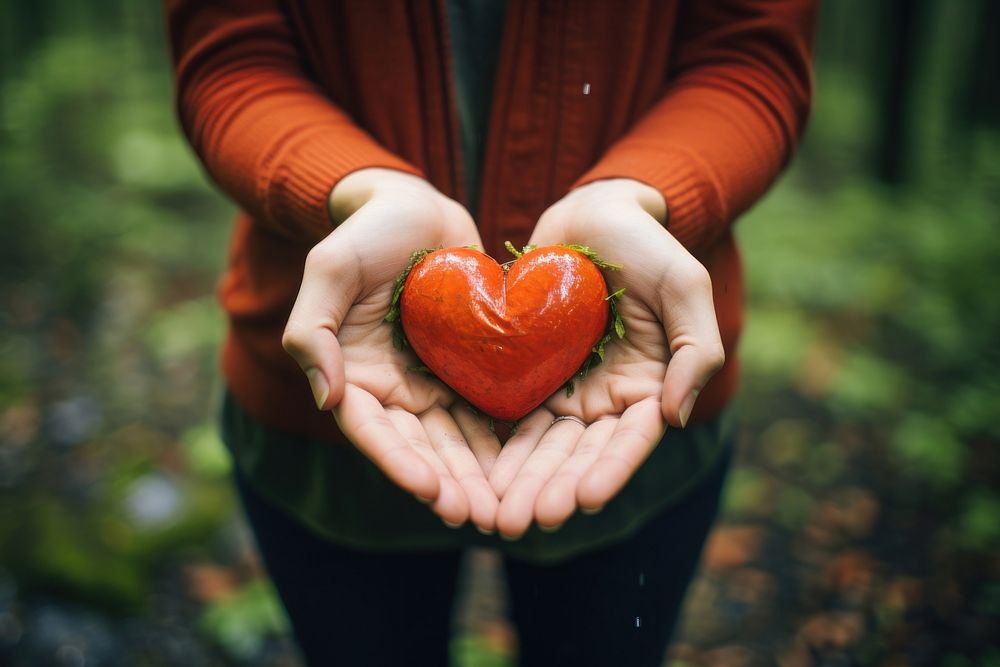 Outdoors holding nature hand. | Premium Photo - rawpixel