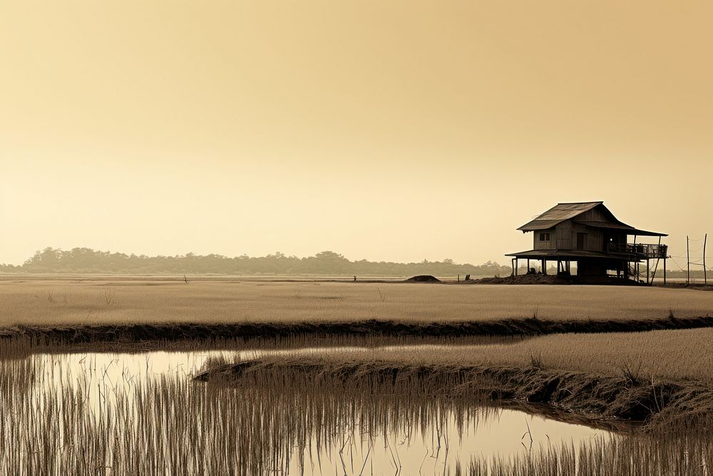 Rice field architecture outdoors building | Free Photo - rawpixel