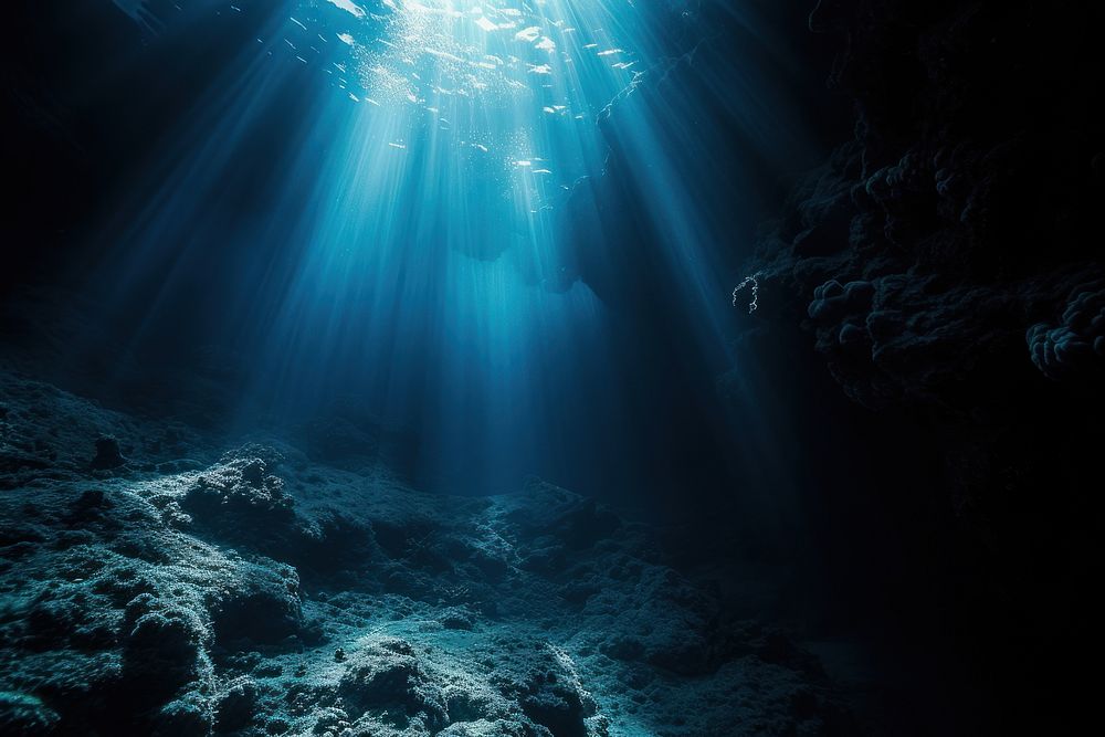 deepest zone ocean underwater outdoors | Premium Photo - rawpixel