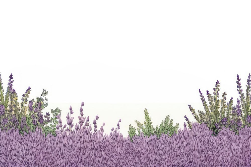 Lavender backgrounds landscape blossom. | Premium Photo Illustration ...