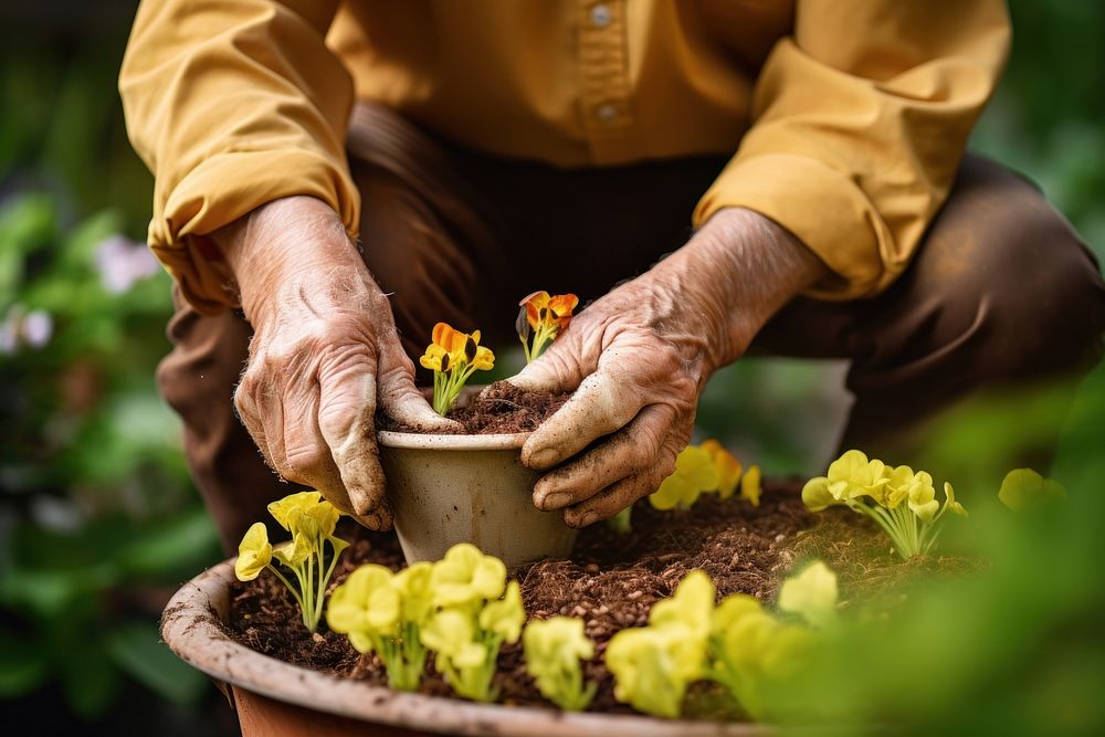 Senior gardening outdoors nature adult. | Free Photo - rawpixel
