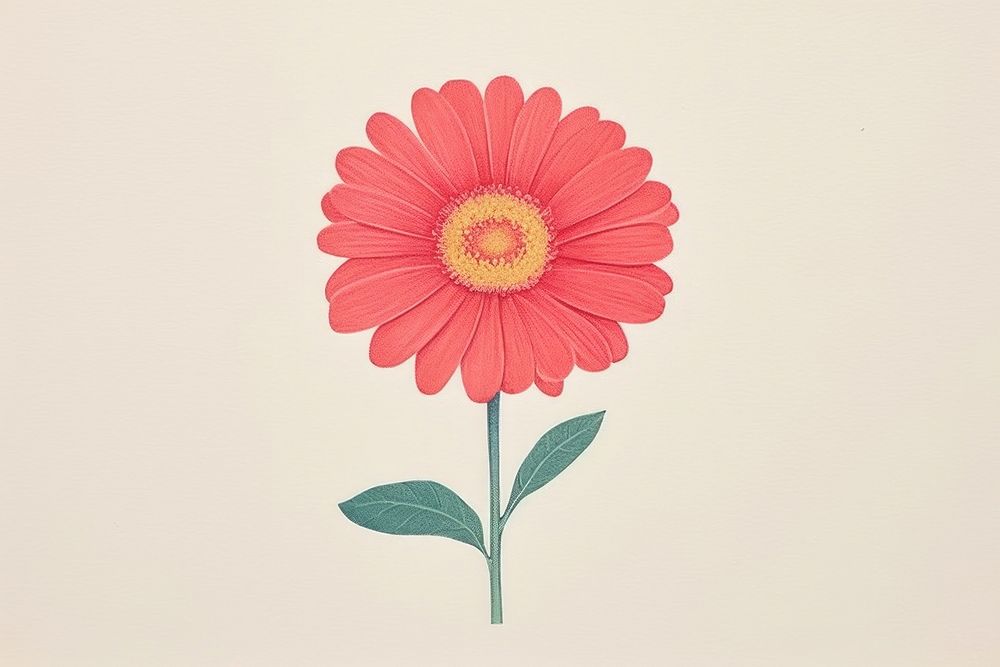 Gerbera drawing flower petal | Free Photo Illustration - rawpixel